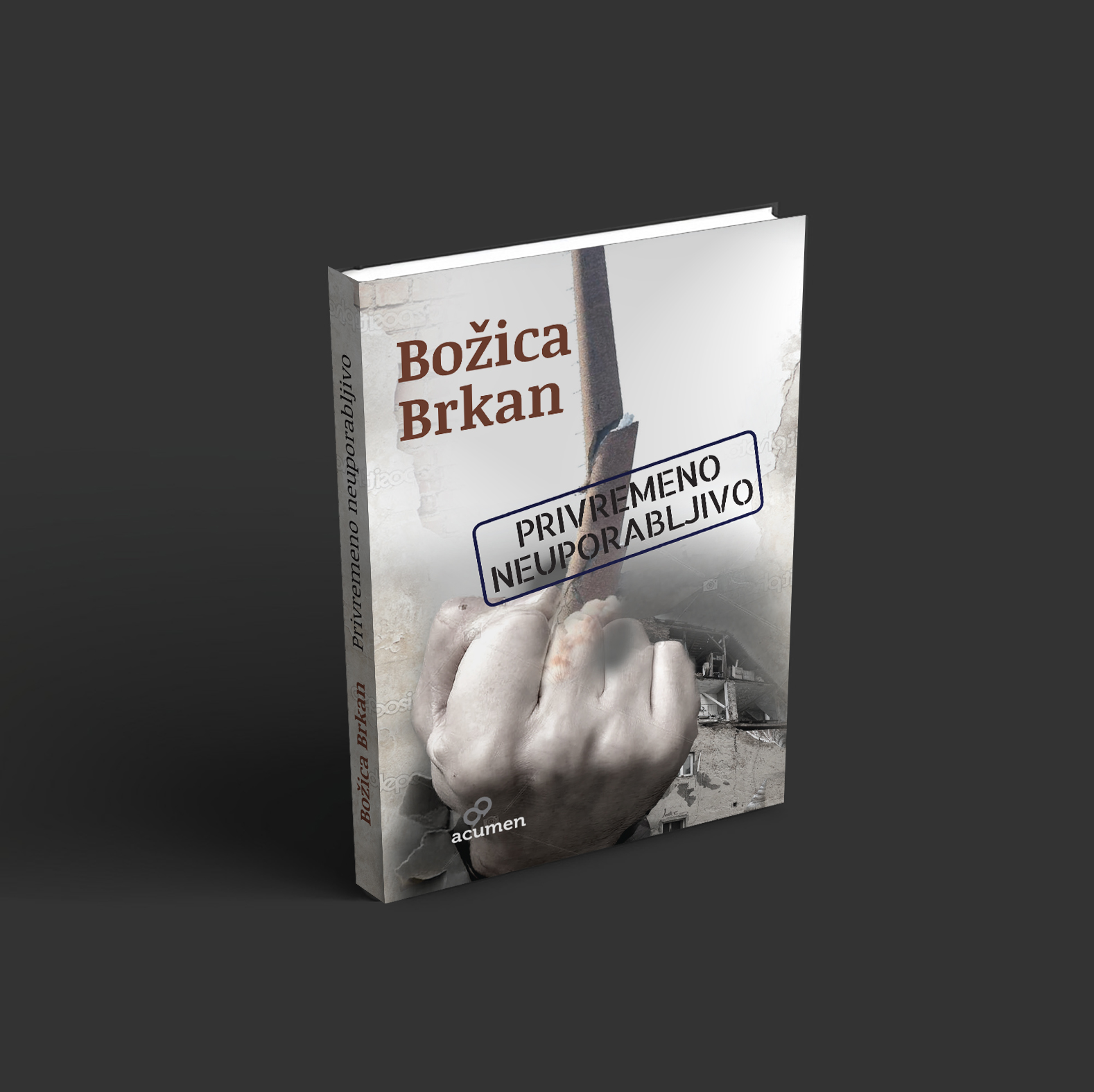 roman Privremeno neuporabljivo – Božica Brkan